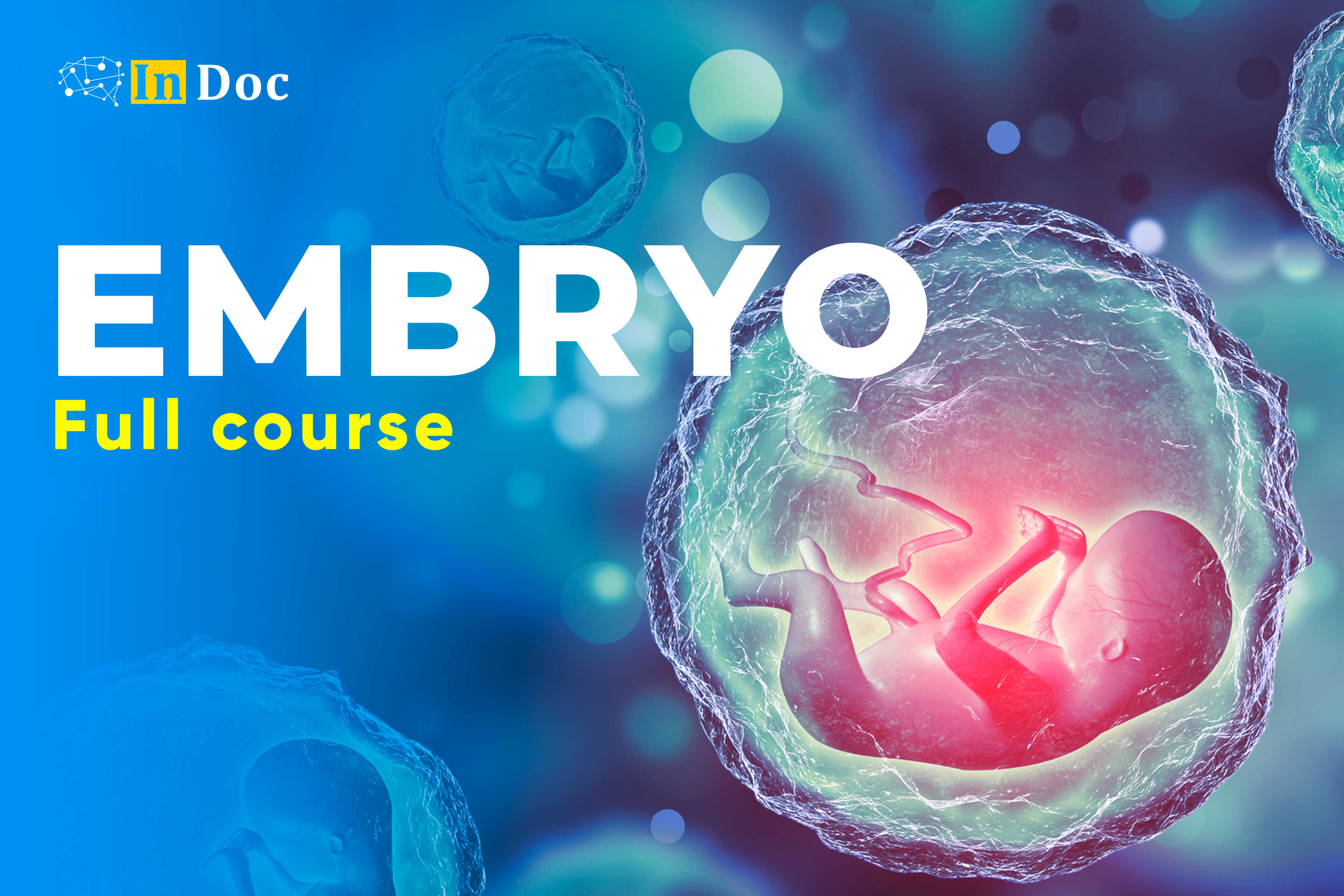 Embryology